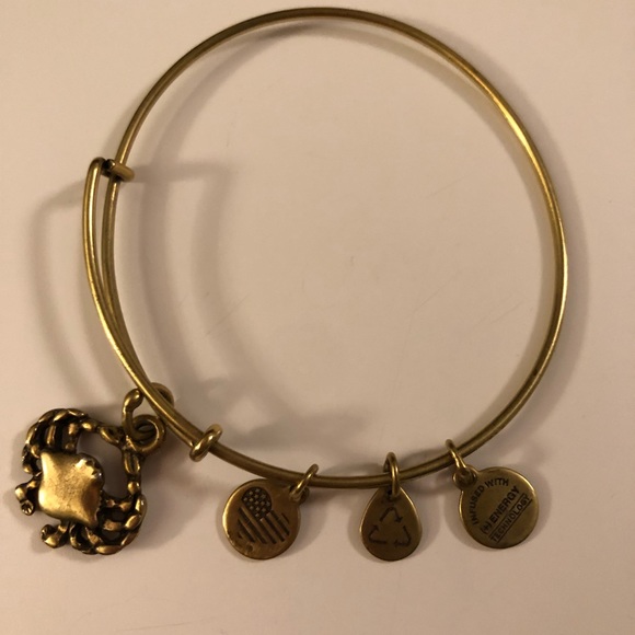 Alex and Ani | Jewelry | Alex And Ani Crab Bracelet | Poshmark